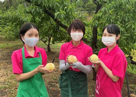 桃農家の想いをつなぐ、産地直送「岡山白桃」デザートフェア開催！ロイヤル級のとろける甘み堪能。岡山県赤磐市・果樹園『桃茂実苑』×カフェ＆ブックス