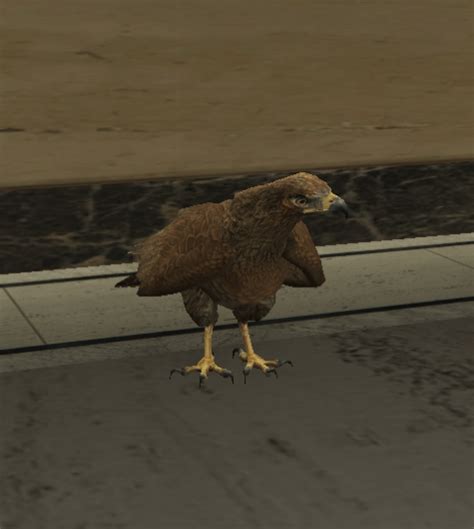 File ChickenHawk Png RAGE Multiplayer Wiki