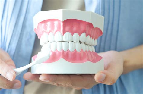 치과 의사의 손에 그는 제대로 양치질 하는 방법을 시연 하 고 있습니다 치아와 구강을 청소 합니다 개념에 대한 스톡 사진 및