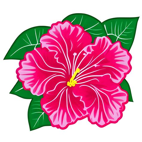 Hibiscus Graphic · Creative Fabrica