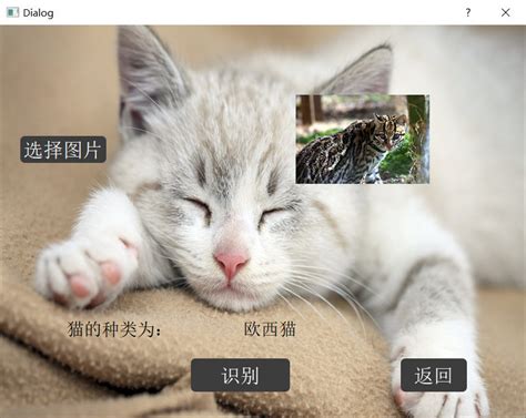 基于inceptionv3和迁移学习的 猫咪种类识别和管理系统（第一阶段）qq40409579的博客 Csdn博客