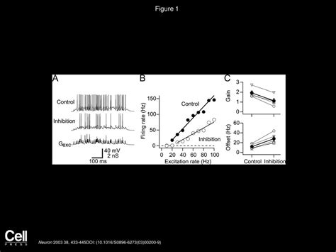 Shunting Inhibition Modulates Neuronal Gain During Synaptic Excitation