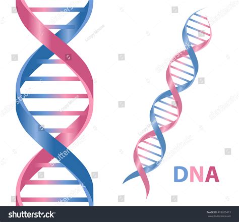 Dna Icon Dna Symbol Dna Helix Stock Vector 418925413 Shutterstock