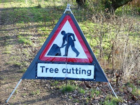 Tree Cutting Sign On Chorleywood Common Stock Image Image Of Lumber
