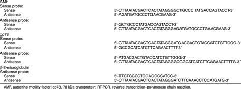 Primer Sets Used To Generate A Dna Template By Rt Pcr For In Vitro