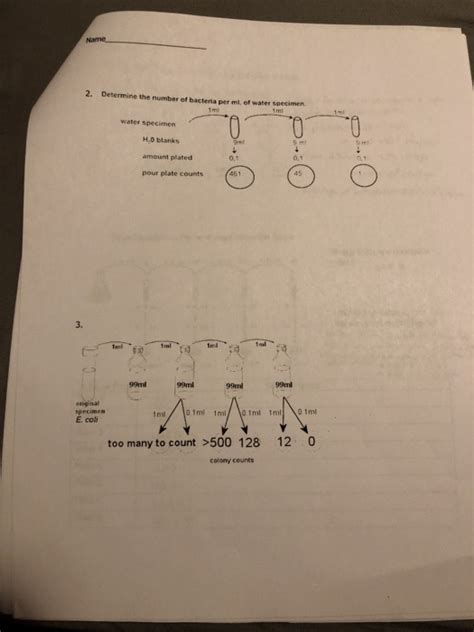 Solved Name Determine The Number Of Bacterial Cells Per Chegg