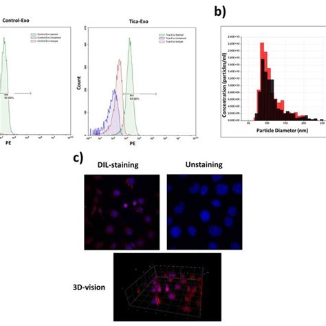 Er Stress Induced Inflammation In Macrophages And Ecs Under Er Stress