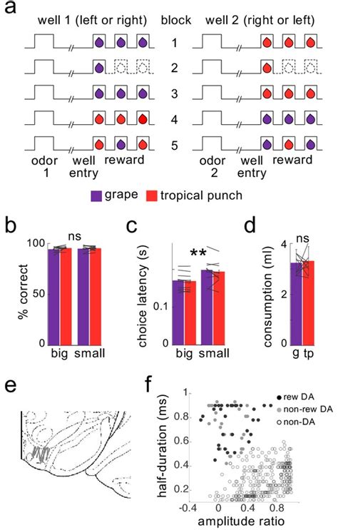 dopamine neuron ensembles signal the content of sensory prediction
