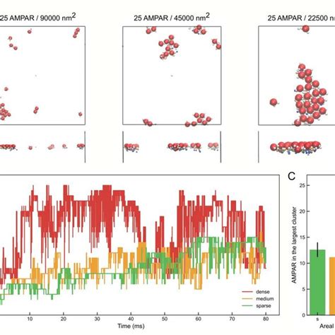 Molecular Assembly Dynamics For The Mixture Of 50 Palmitoylated Psd 95 Download Scientific