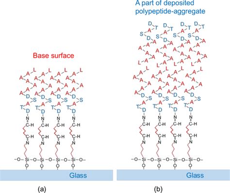 Antifreeze Proteins Plos One