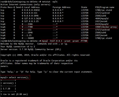 快速构建mysql学习环境 赖明星