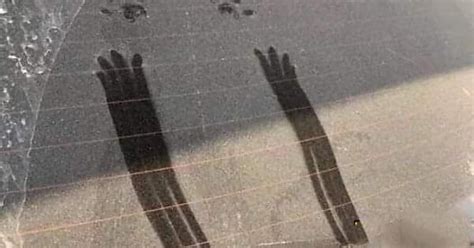 Meeeeeeeee Ow Album On Imgur