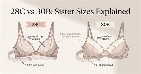 28c Vs 30b Sister Size Band Fit Cup Volume And Key Differences 2026
