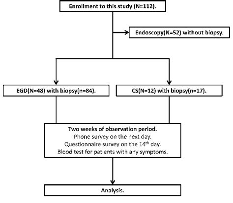Flow Chart Of The Study N Number Of Patients N Number Of Biopsies