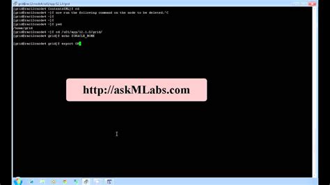 Rac Deleting Leaf Node From Flex Cluster 12101 Youtube
