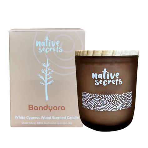 White Cypress Wood Candle Botanical Skincare Essential Oils Candles Native Secrets