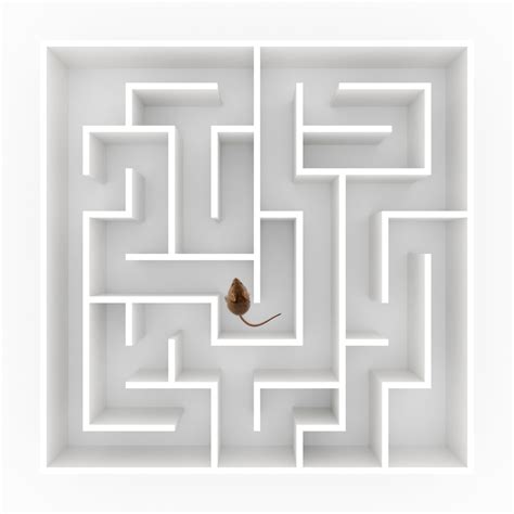 Divine Tips About How To Build A Mouse Maze Dancelocation19