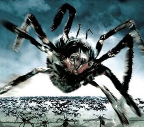 Weird Things Blog Archive Eight Legged Freaks Down Under