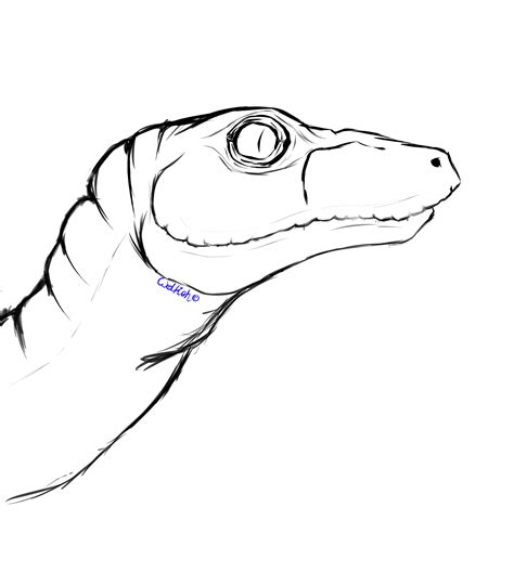 Raptor Lineart By Millaandwilly On Deviantart