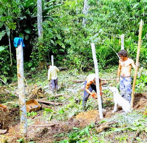 Organic Farming And Tropical Conservation Volunteer In Ecuador 2025