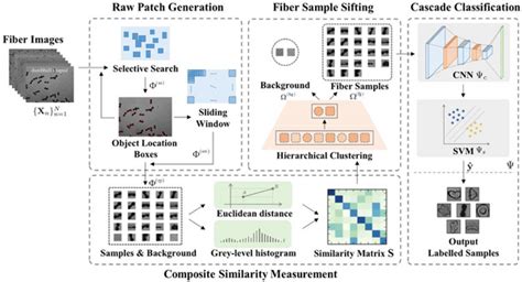 WesNet Proposed For Weakly Supervised Profile Fibre Recognition The