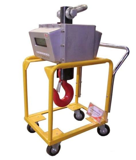 电子吊秤需要年检吗 化工仪器网