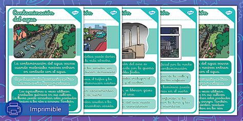 Pósters Tipos De Contaminación Teacher Made Twinkl