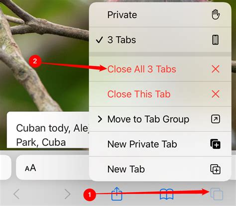 How To Close All Safari Tabs At Once On IPhone And IPad Guidantech