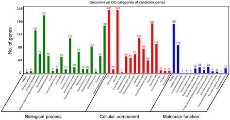 Aab Selection Signature Analysis Reveals Genes Underlying Sheep Milking Performance