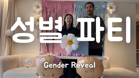 임산부vlog 과연 아들 딸 반전이 있을까 젠더리빌 파티 Amh0점대 조기폐경 난소기능저하 시험관임신