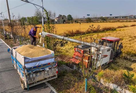 南京：稳住农业基本盘，扎实推动乡村振兴