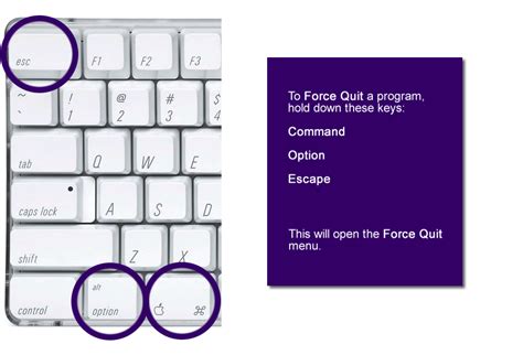 Shortcut To Force Quit Gasvirtual