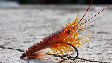 Martin Shrimp Simple And Realistic Fly Tying Instructions By Ruben