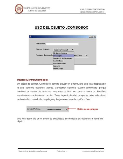 Pdf Uso Del Objeto Jcombobox Pebibliotecauns