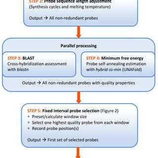 Overview Of The Tiling Array Probe Design Pipeline Download Scientific Diagram