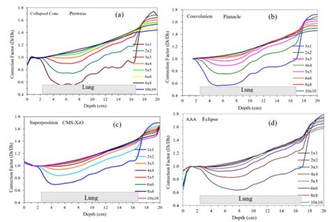 Calculated Doses With Different Field Sizes In A Lung Phantom Using