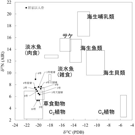同位体分析年代食性 居家以岩陰遺跡の研究早期縄文人の生活と社会