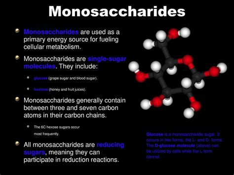 02 Molecular Biology Sections 21 22 And Ppt Download