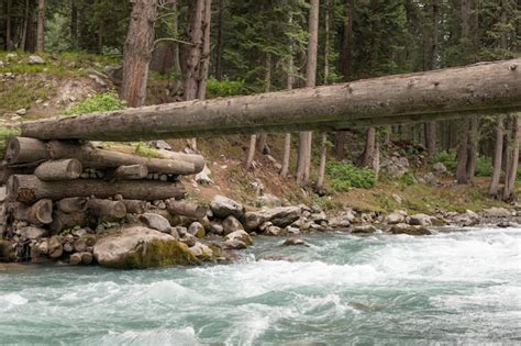 Premium Photo Tree Trunk Bridge Over Panjkora River In Kumrat Valley