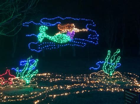 Norfolk Botanical Gardens Lights Fasci Garden