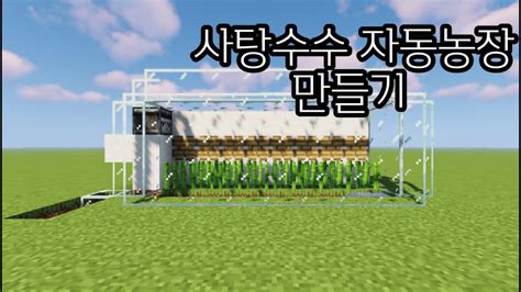 사탕수수 자동 농장 만들기 마인크래프트 Youtube