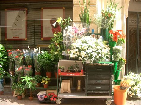 世界の花とみどり スペイン Sevilla ② Carmona、カテドラル 2009627