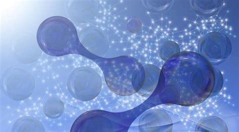 Le Cellule Del Corpo Umano Spiegato Facile ILDue It