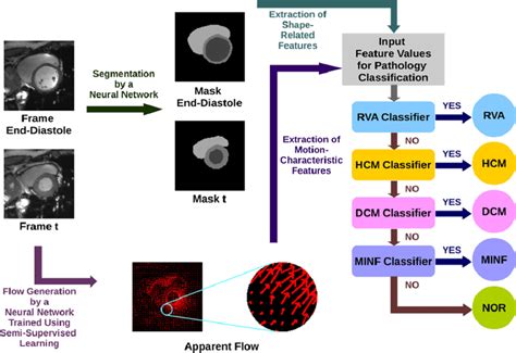 Cardiac Pathology Classification On Cine Mri With Motion Download