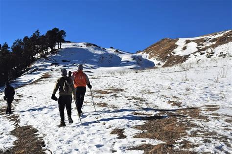 Winter Kuari Pass Best Winter Trek Uttarakhand Trip Trek