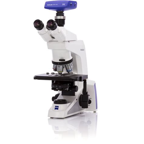 Microscopy In Urinalysis Observe Urine Detect Abnormalities Zeiss