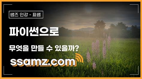 쌤즈 인강 파이썬 언어를 사용하는 이유 가지 코딩 강의 파이썬 YouTube