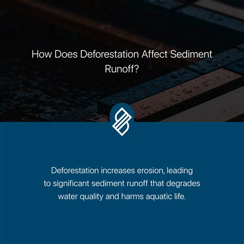 How Does Deforestation Affect Sediment Runoff → Question