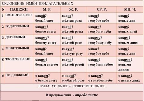 Склонение имён прилагательных в русском языке