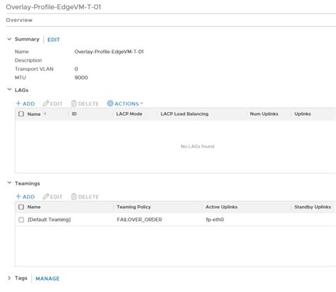 Interfaces Uplinks For Esxi Edge Part Vm Spec Ch